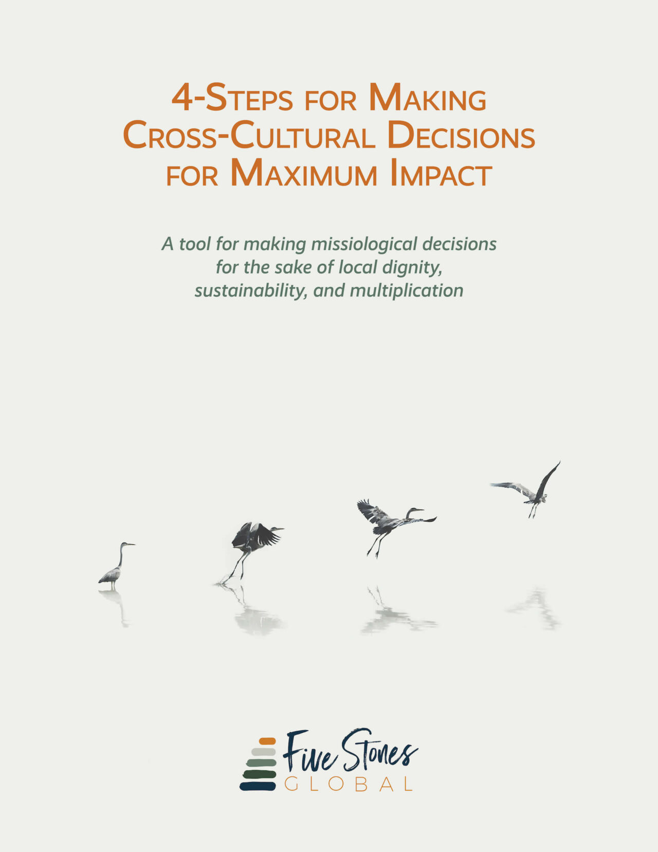 Resources - Five Stones Global